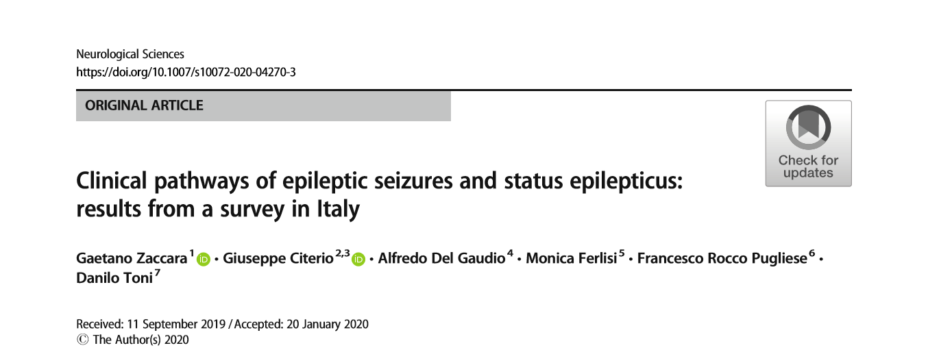 Clinical pathways of epileptic seizures and status epilepticus: results ...